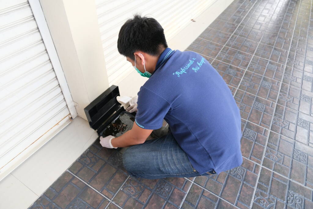 Rodent Management Service – Innovative Pest Management