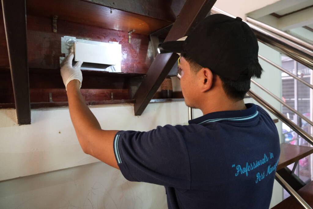 Termite Control Service – Innovative Pest Management